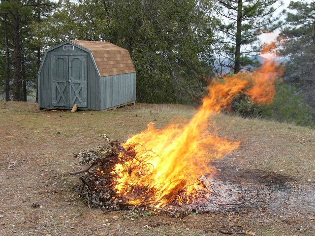 090301 Burn piles